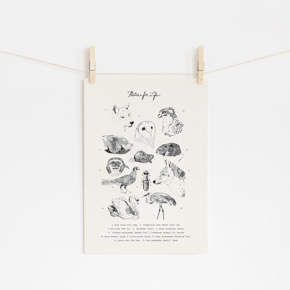 "Mates for Life" Print – screech owl design