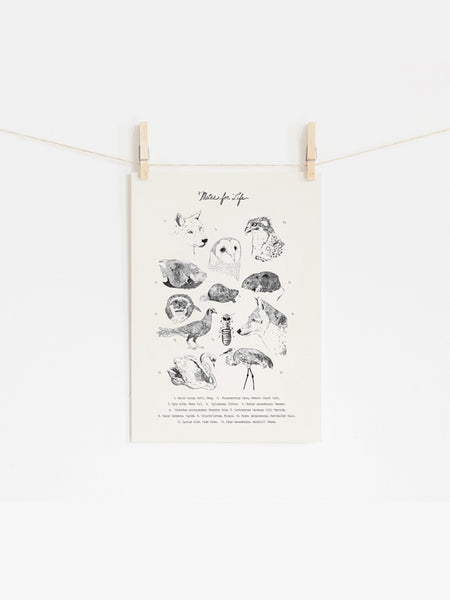 "Mates for Life" Print – screech owl design