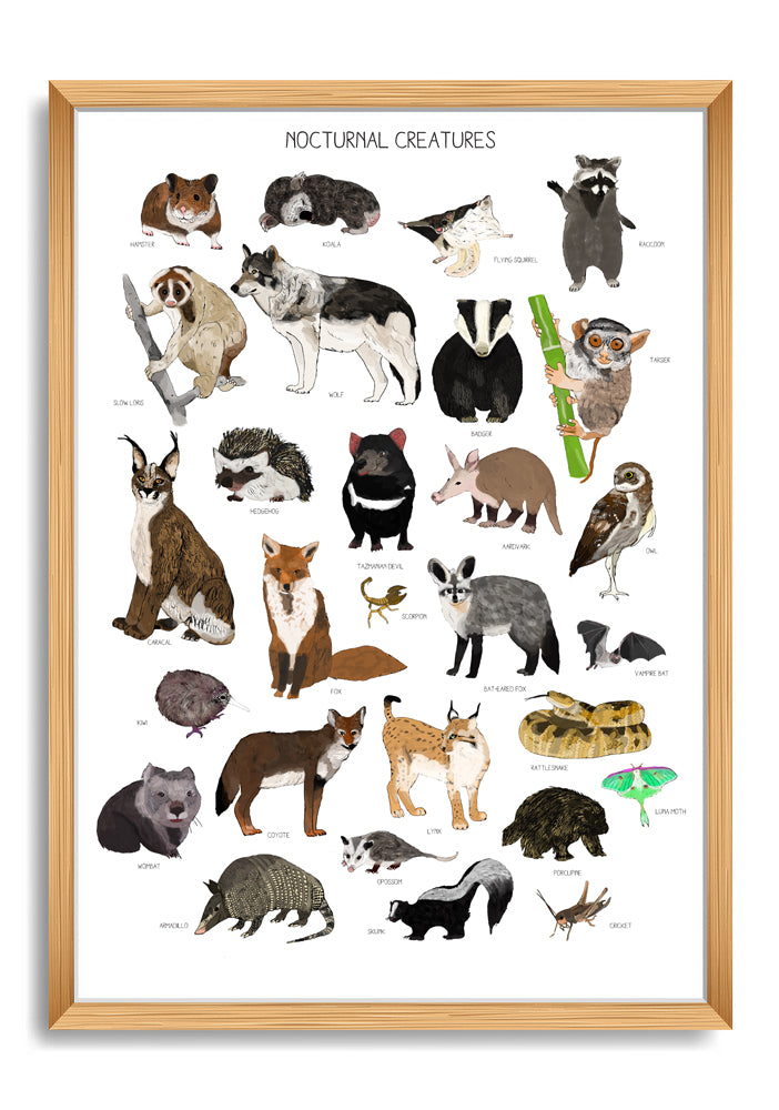 "Nocturnal Creatures" Print – screech owl design